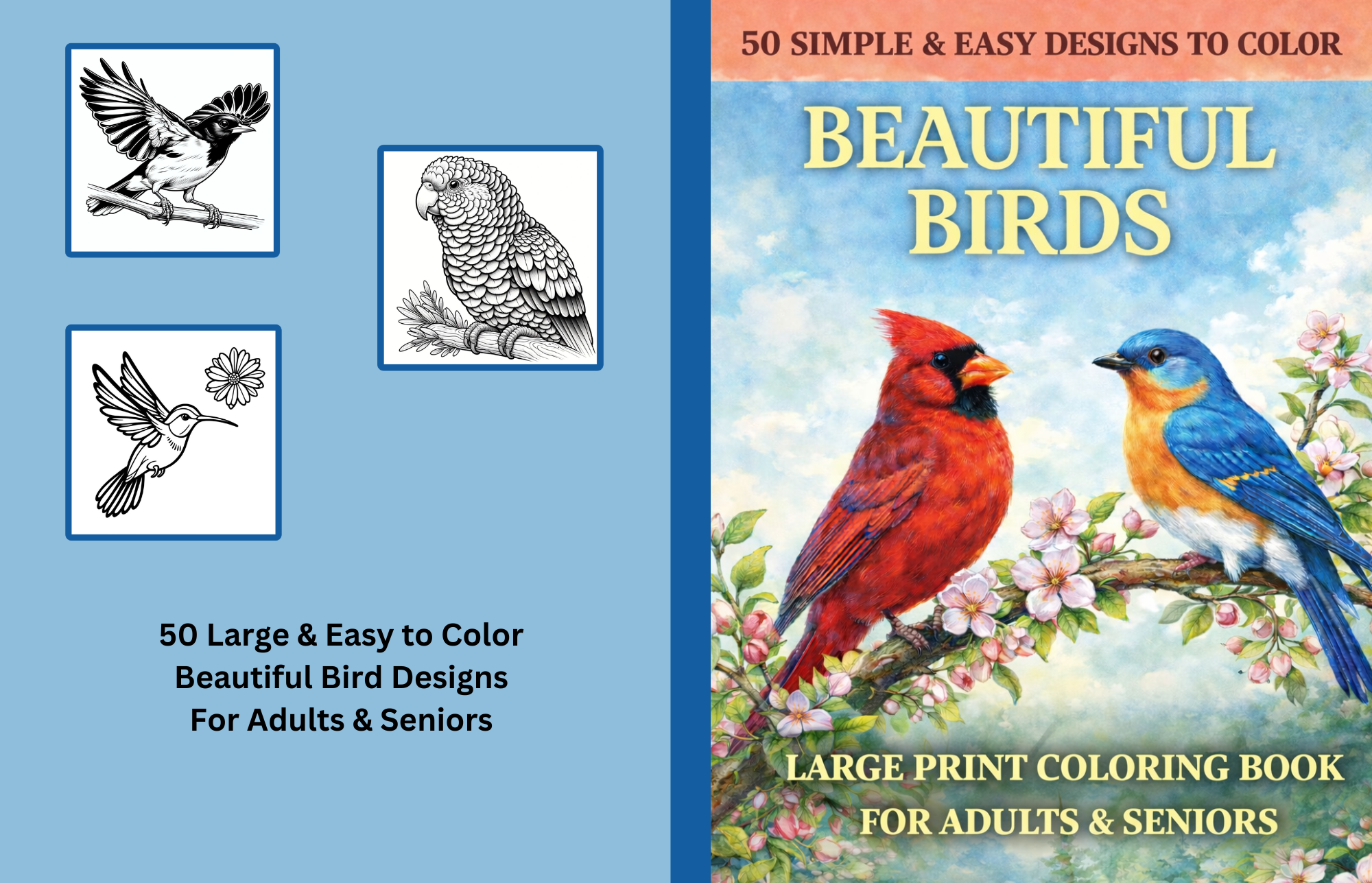 Beautiful Birds Large Print Coloring Book for Adults & Seniors – Family ...